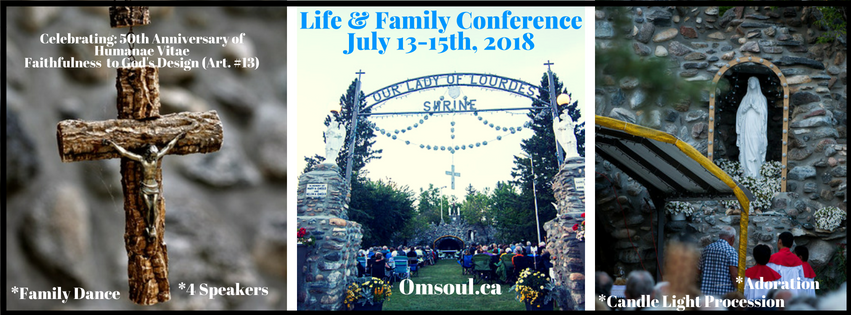 1st Annual Life and Family Conference at Our Lady of Lourdes Shrine ...
